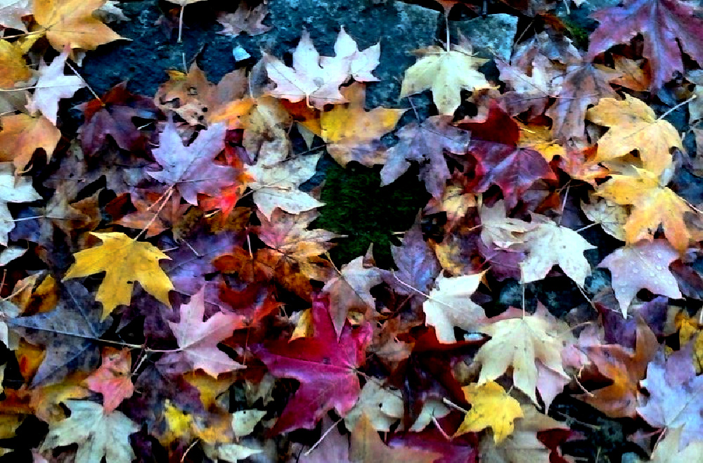 In Colors – Free Life Blog